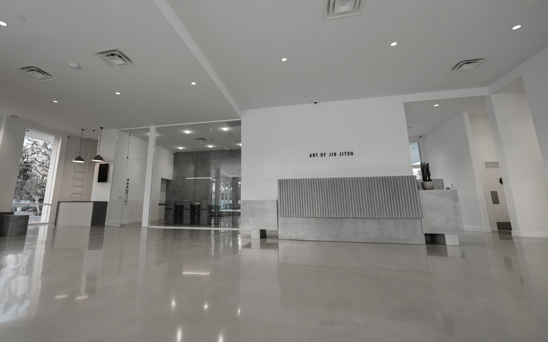 AOJ Mission Viejo – ART OF JIU JITSU