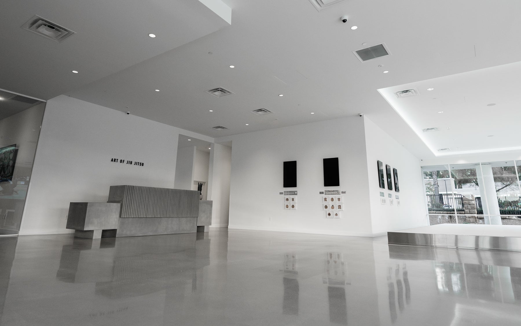 AOJ Mission Viejo – ART OF JIU JITSU