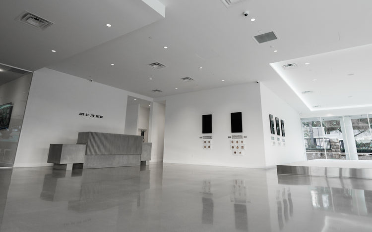 AOJ Mission Viejo – ART OF JIU JITSU