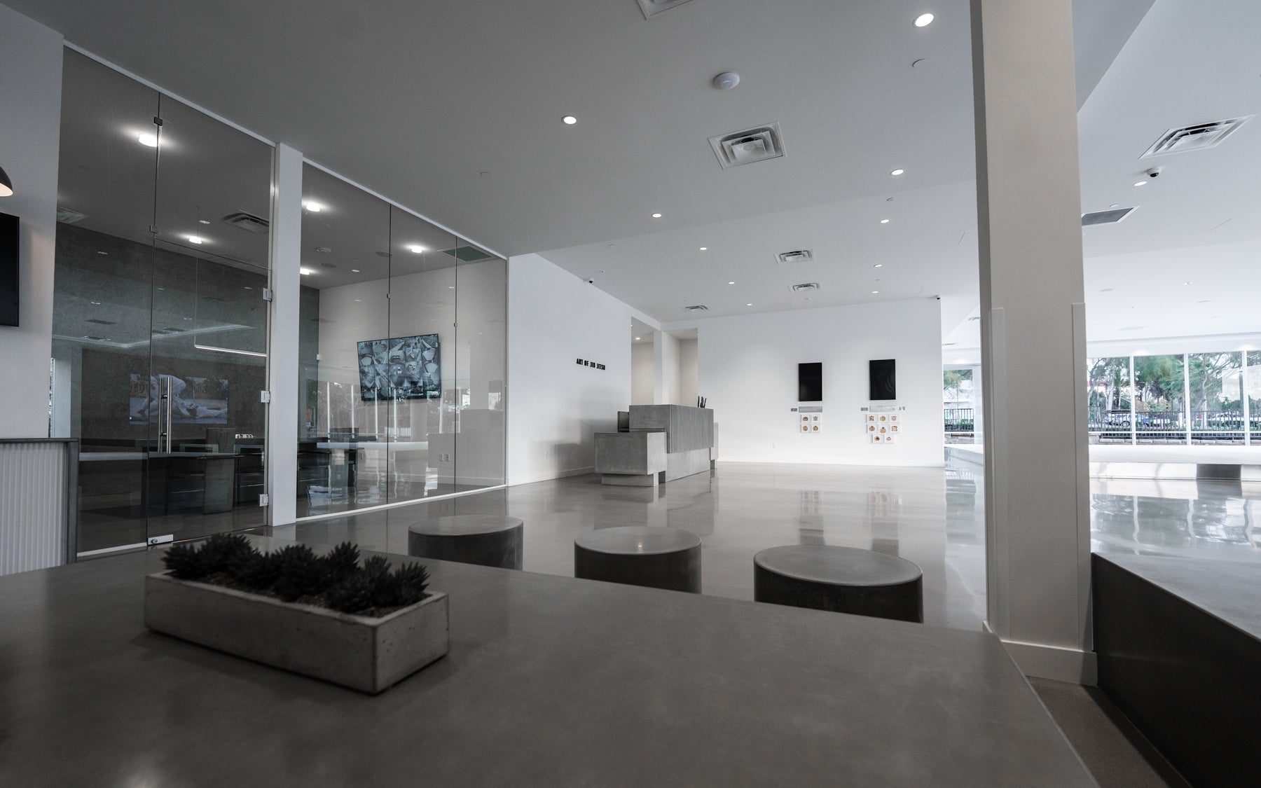 AOJ Mission Viejo – ART OF JIU JITSU